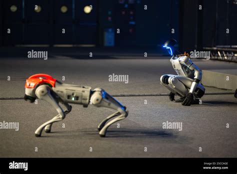 Ise 2025 Integrated Systems Europe Humanoid Robot Of Unitree