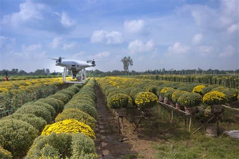 Blockchain For Business Optimizing Agricultural Supply Chains Smart It