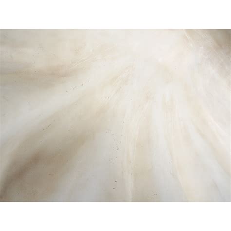 Wholesale Claim Shell Xl White Australia Buy Homewares And Tware