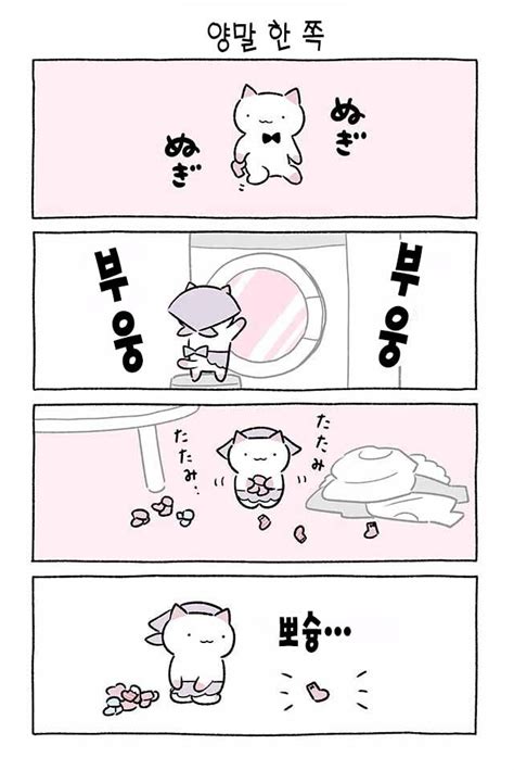 고양이와 양말 만화manhwa