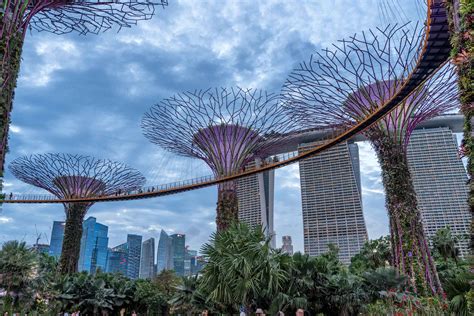 Singapore Floating Gardens At Frances Duke Blog