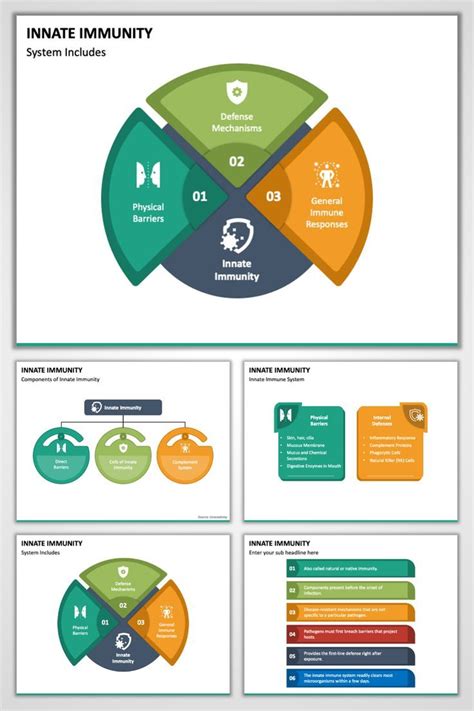Innate Immunity Powerpoint And Google Slides Template Presentation