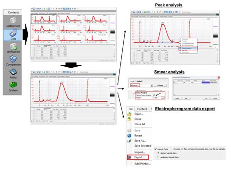 Video Author Spotlight Exploring The Frontier Of Mrna Research With