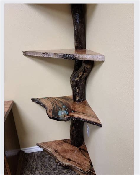 A Natural Shelving Unit Created Around The Trunk Of A Full Tree Round