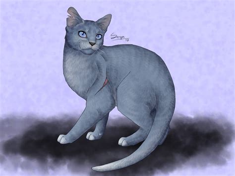 Bluestar By Senyadra On Deviantart