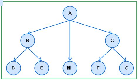 What Are Non Linear Data Structures 2024 Code Config