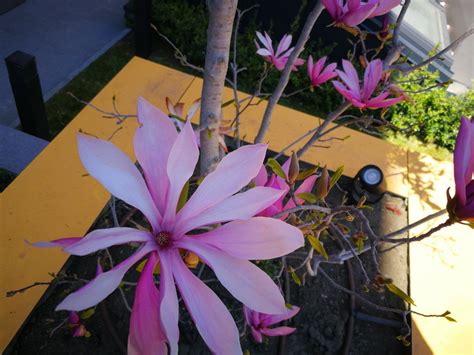 Colour Code Честит ден на българската просвета 📖 култура и славянската писменост 🇧🇬 Екипът