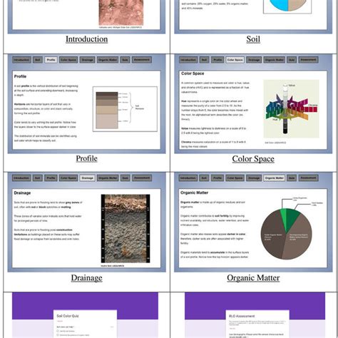 An Example Of The Content Of One Of The Reusable Learning Objects