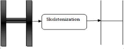 skeletonization concept[11] download scientific diagram