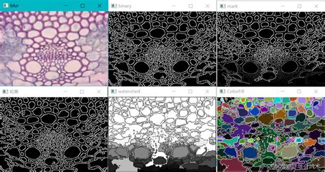 Opencv C图像处理（全）c Opencv 图像处理 Csdn博客