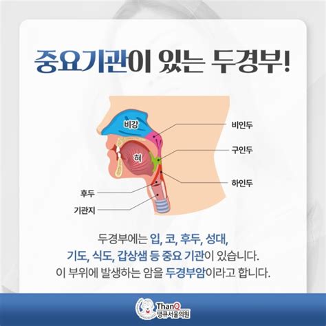 두경부종양 땡큐서울의원이비인후과내과