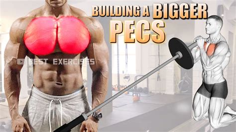 7 Best Exercises For Build Bigger Chest Youtube
