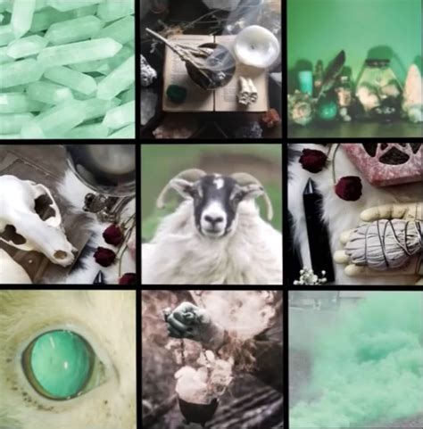 Pin By Tiana Crowe On Mood Board Inspiration Mood Board Inspiration