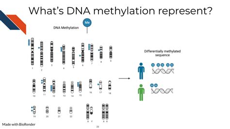 chapter 20 dna methylation sequencing choosing genomics tools