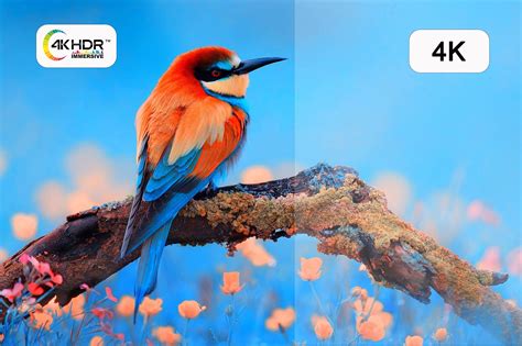 ТВ приставка G7 Mini Amlogic S905w2 Android 11 Smart Tv Box 2 4g 5g Wi