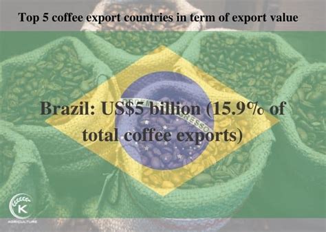 Top 5 Coffee Export Countries In The World 2025 K Agriculture