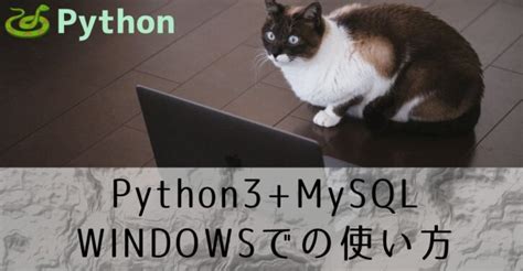Python3のWindows環境における手動 自動実行方法実行形式化まとめ KodoCode