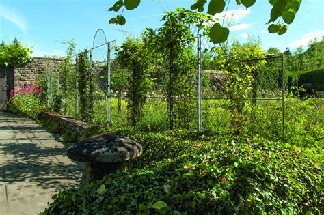 Trellis Ideas Beautiful Ways To Add Vertical Interest Homes And Gardens