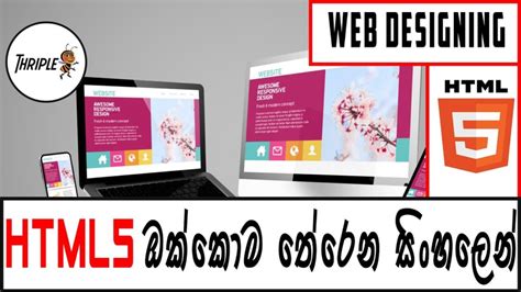 Html And Css Web Designing 01 Html5 Complete Course Sinhala