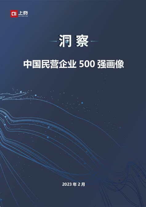 中国民营企业500强画像