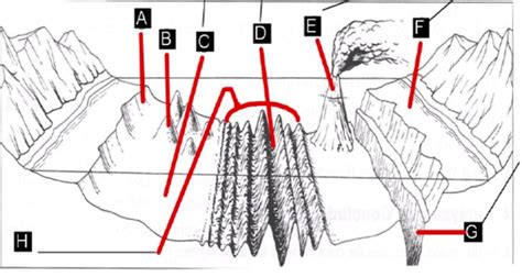 Marine Biology Set 11 Ocean Floor Geology Diagram Quizlet