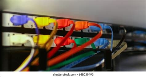 Patch Panel Utp Cables Telecommunication Equipment Stock Photo Shutterstock