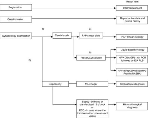 Examination And Sampling Procedure The Symbols 1 And 2 Indicate Download Scientific