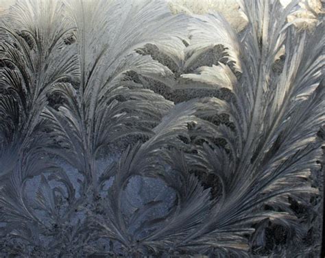 Frost On The Windows As Art Penbay Pilot