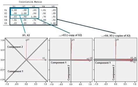 Correlation Should One Remove Highly Correlated Variables Before