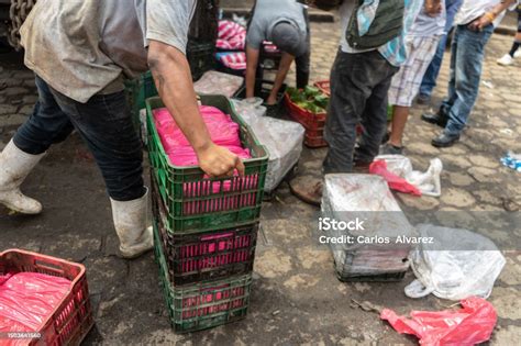 니카라과의 한 시장에서 상자를 나르고 정리하는 알아볼 수 없는 남자들 거리에 대한 스톡 사진 및 기타 이미지 거리 고객 남자 Istock