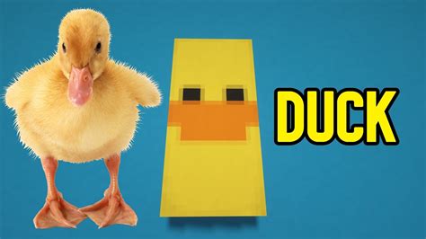 Banner Design Ideas How To Make A Duck In Minecraft Youtube