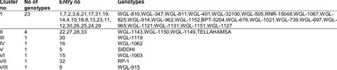 Clustering Composition With Distribution Of 33 Genotypes In Rice By