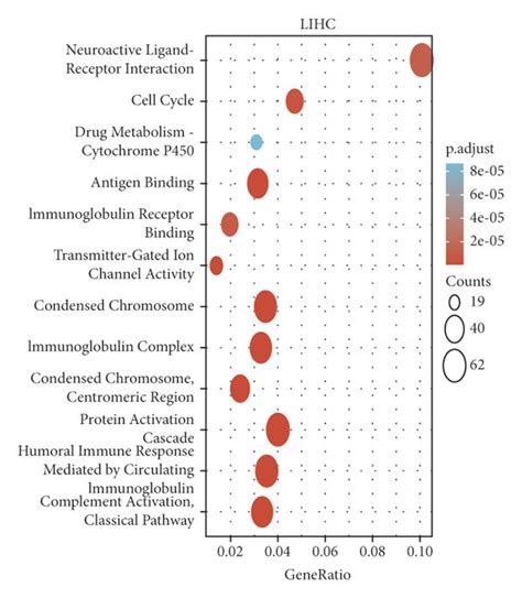 Pbk Related Pathway Enrichment Analysis A The Available