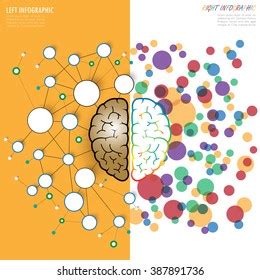 Left Right Brain Functions Concept Analytical Stock Vector Royalty Free Shutterstock