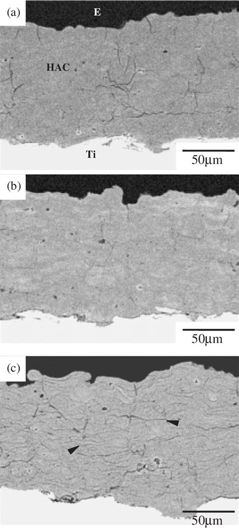 Sem Cross Sectional Microstructure Of A The As Sprayed Hacs B Download Scientific Diagram