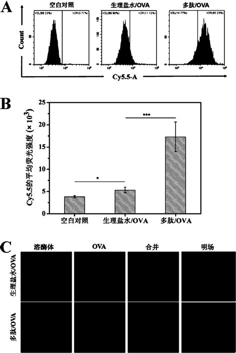 Redox Sensitive Polypeptide Based On Cell Penetrating Peptide And