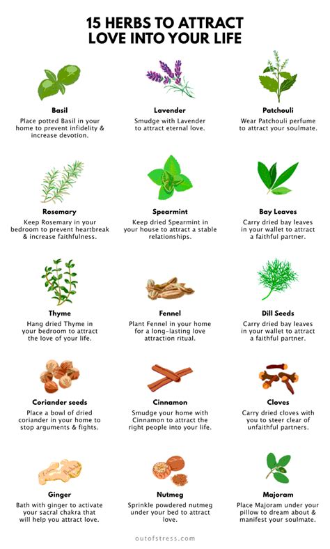 15 Herbs To Attract Love Into Your Life Improve Relationships Artofit