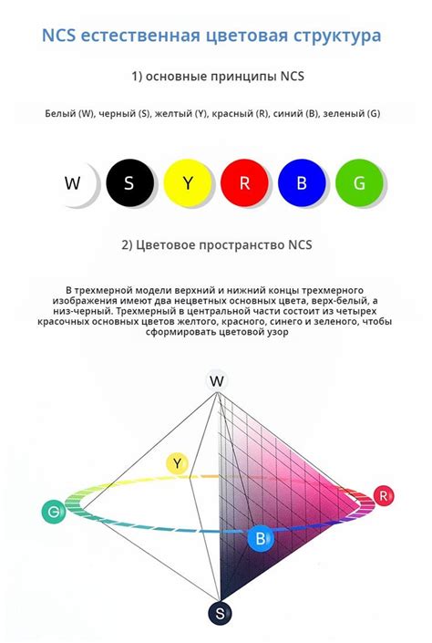 Каталог цветов NCS Index 2050 / колеровочный веер купить на OZON по ...