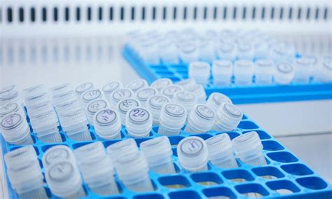 Monoclonal Vs Polyclonal Antibodies The Differences