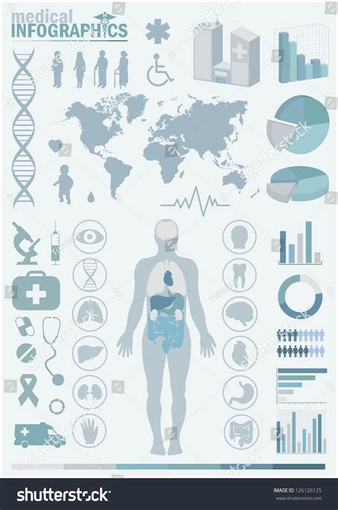Medical Infographics Presentation Set Human Body With Internal Organs