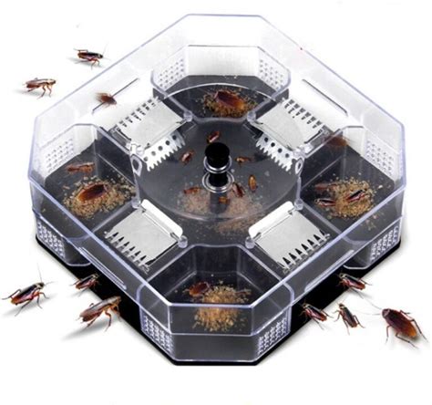Reusable Cockroach Trap Not Sold In Stores