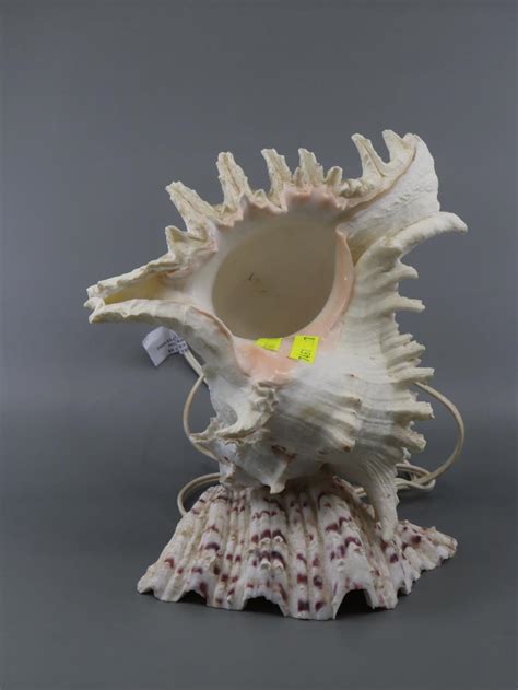 Lot Shell Table Lamp