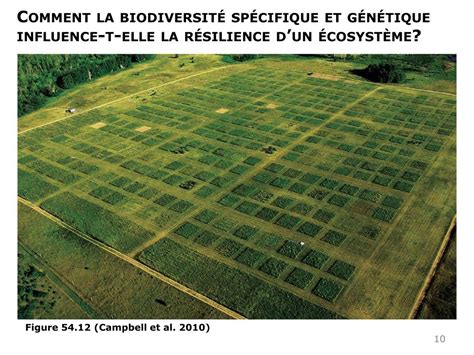PPT Module I Environnement écologie et biodiversité PowerPoint