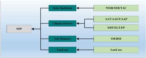 The Indicators System Is Composed Of The Driver Layer And Response