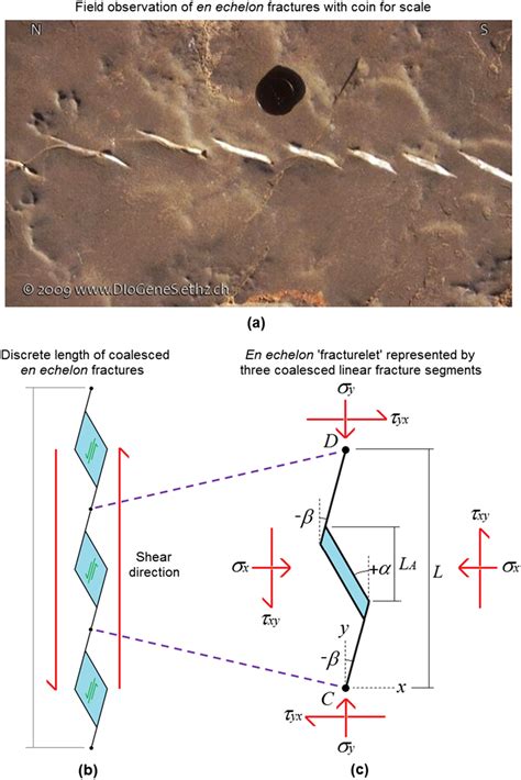 A This Photograph From J P Burg 2000 Shows An Example Of A