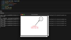 Python How To Set Starting Position In Turtle AskPython