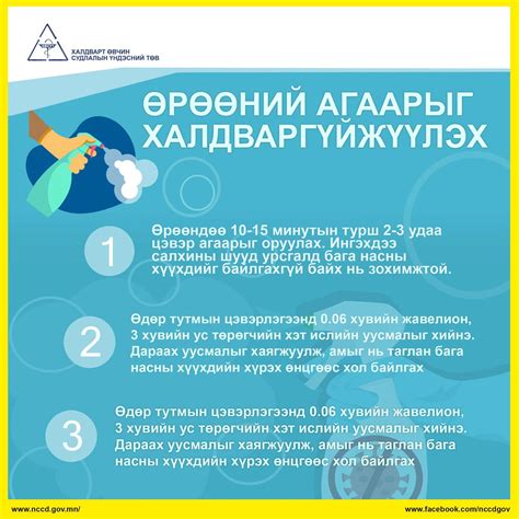 ЗӨВЛӨГӨӨ Гэр орон автомашинаа хэрхэн ариутгах вэ