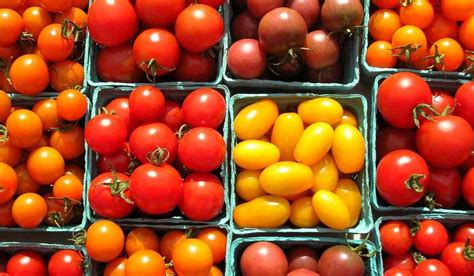 Помидоры черри выращивание и сорта