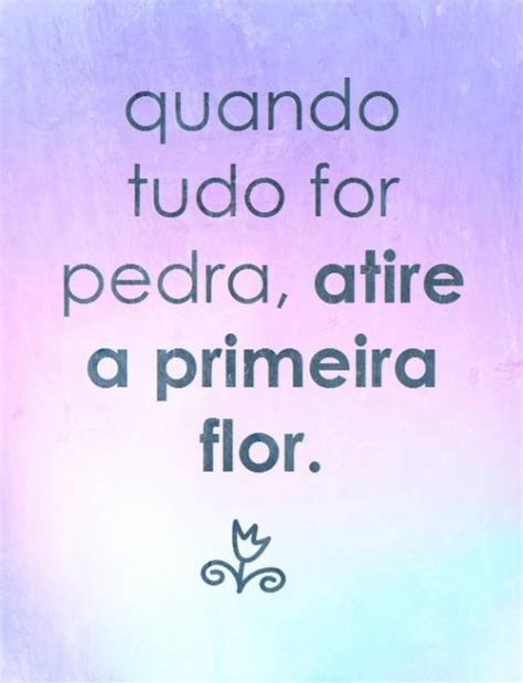5 fotos frase da semana Rotina de Universitário