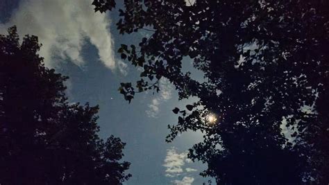 使用hexo搭建一个博客 知乎